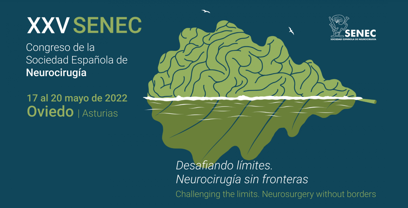 XXV Congreso de la Sociedad Española de Neurocirugía (SENEC) - CD-PHARMA